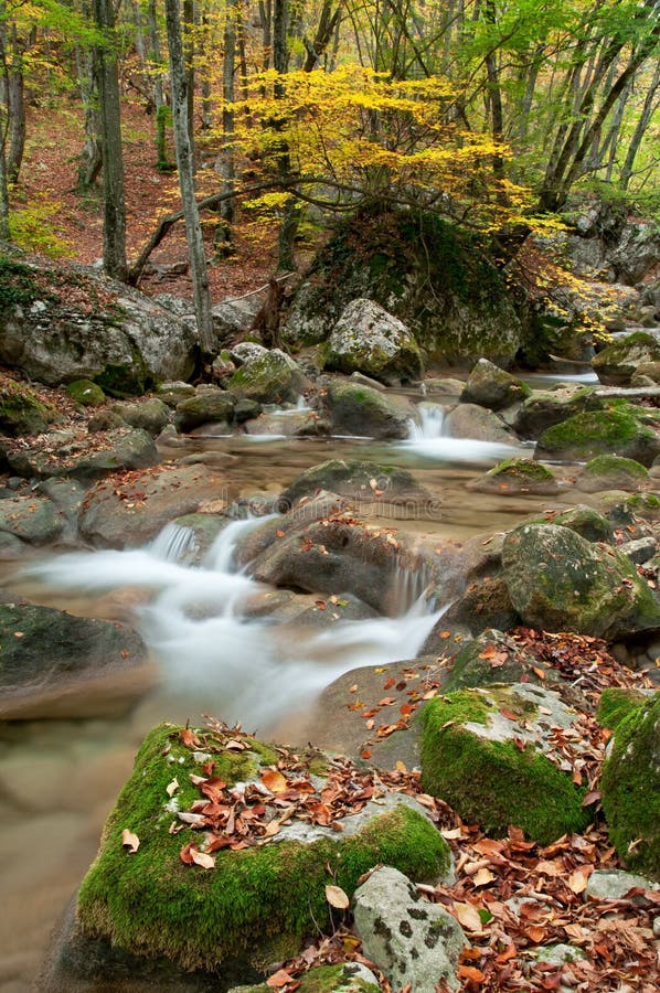 Autumn Stream stock image. Image of ecology, colors, nature - 22476733