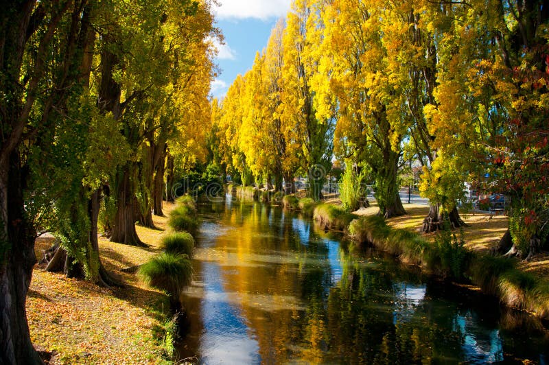 Bicycle path editorial photography. Image of path, tree - 60298547