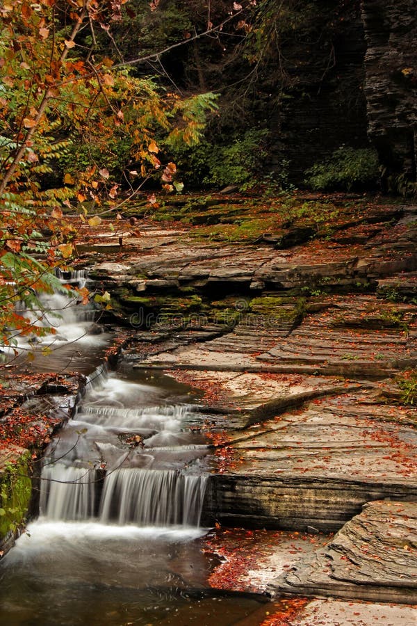 Autumn Stream stock photo. Image of cascade, stream, nature - 34772036