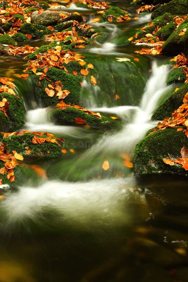 Autumn Stream in Giant Mountains Stock Photo - Image of valley ...