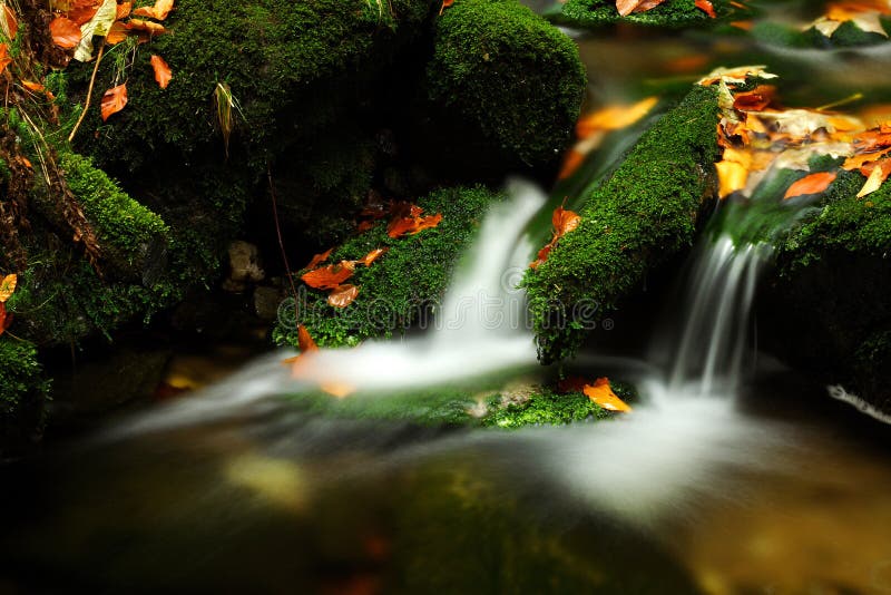 Autumn Stream in Giant Mountains Stock Image - Image of eeriness ...