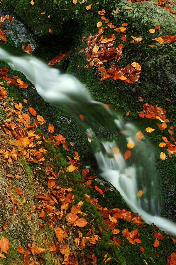 Autumn Stream stock image. Image of earth, natural, nature - 15587191