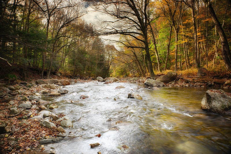 Autumn Stream Lined with Trees Stock Photo - Image of fall, plant: 27968378
