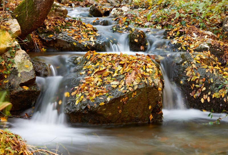 Autumn stream in mountain stock image. Image of yellow - 18606231