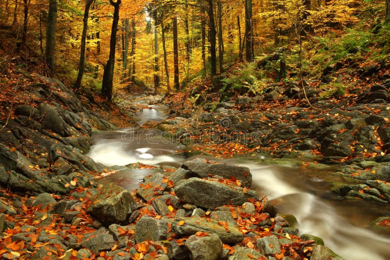 Autumn Stream stock image. Image of earth, natural, nature - 15587191