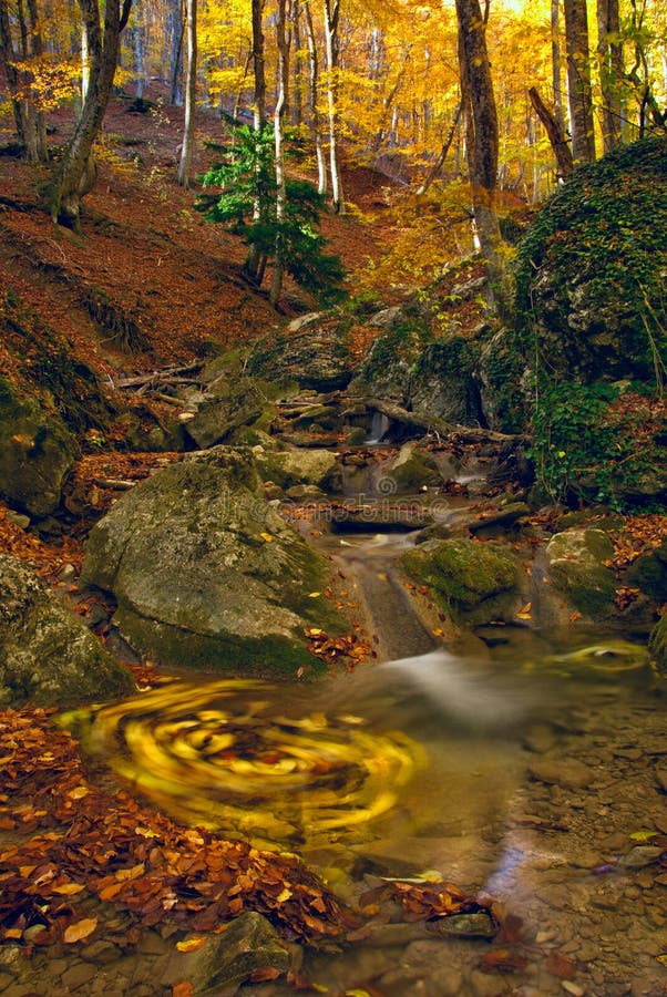 Autumn stream in wood stock photo. Image of dusk, light - 22889918