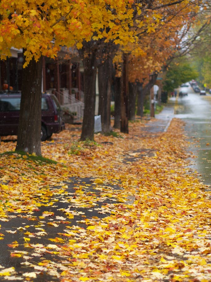 Autumn street stock photo. Image of maple, canada, tranquil - 10477994