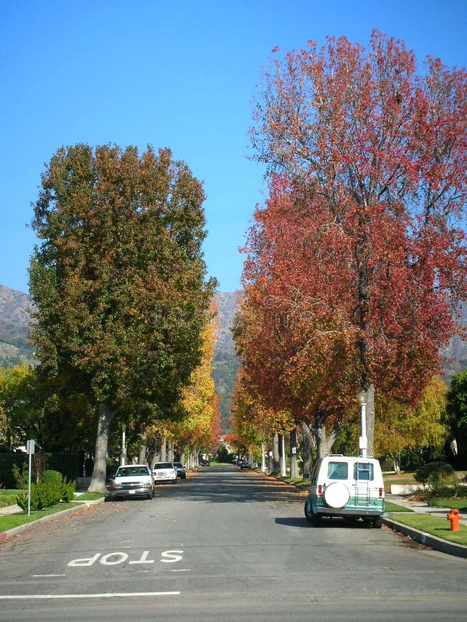 Autumn Street, Color Changing Trees Stock Image - Image of mountain ...