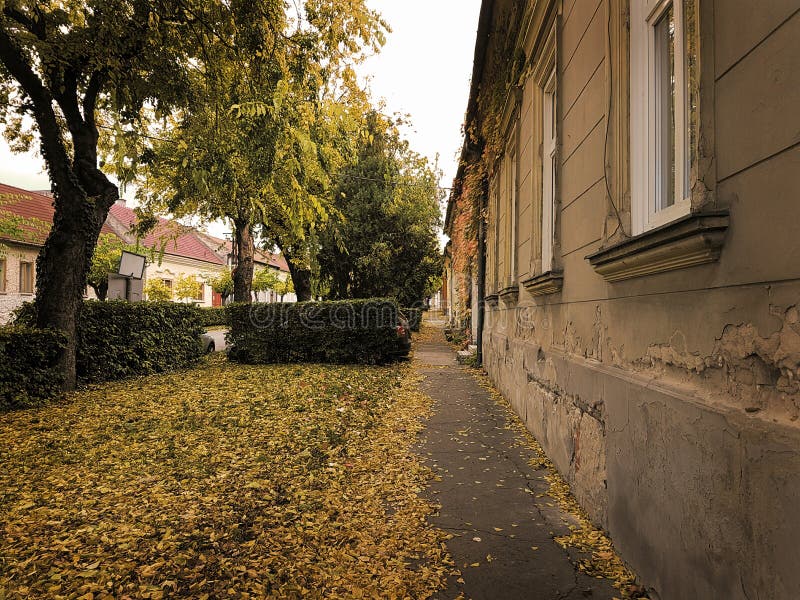 Autumn street stock image. Image of leaves, city, house - 79985465