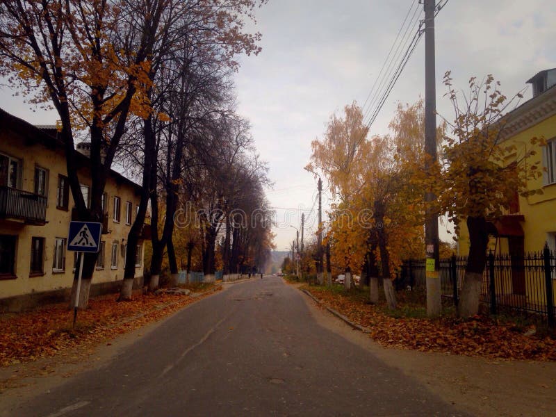 Autumn street stock photo. Image of trees, leaves, city - 45599556