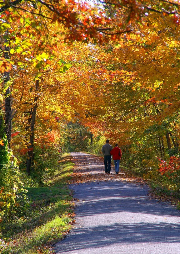 An Autumn Stroll stock photo. Image of beauty, colors - 1942072
