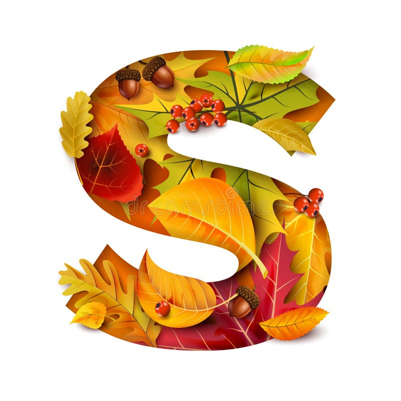 Autumn Stylized Alphabet. Letter S Stock Vector - Illustration of acorn ...