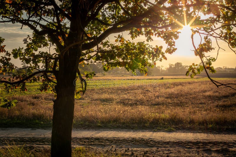 Edyta Linek (Hallgerd) - Contributor Profile on Dreamstime