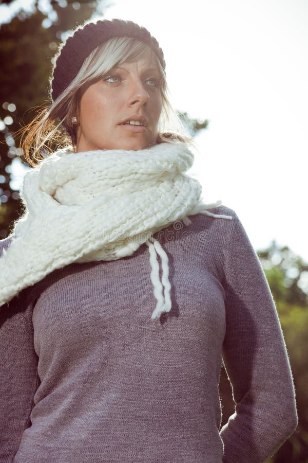 Autumn sunny day stock image. Image of park, little, fall - 15969099