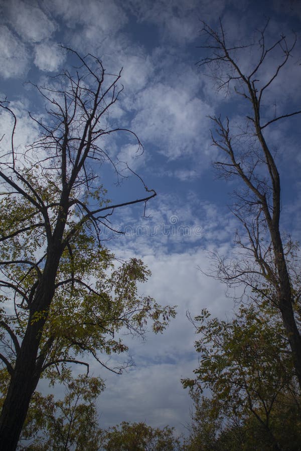 The Autumn and Sunny Weather Stock Image - Image of blue, beautufi ...