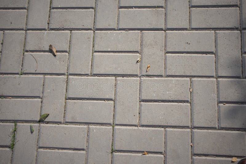 Autumn and Sunny Weather, Texture Stock Photo - Image of chestnuts ...