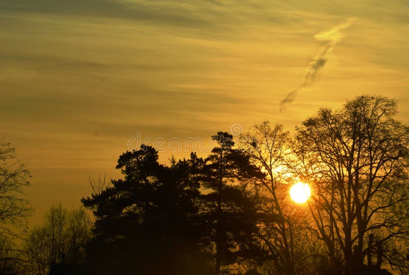 Sunset is Orange and the Rays of the Sun Stock Image - Image of shadow ...