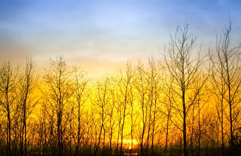 Autumn Sunset stock image. Image of countryside, cloud - 11654563