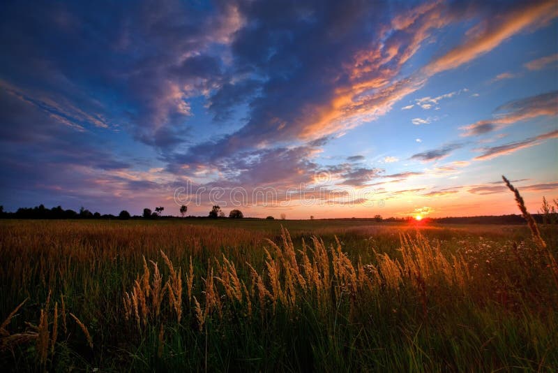 Sunset on the farm stock photo. Image of fence, green - 14997084