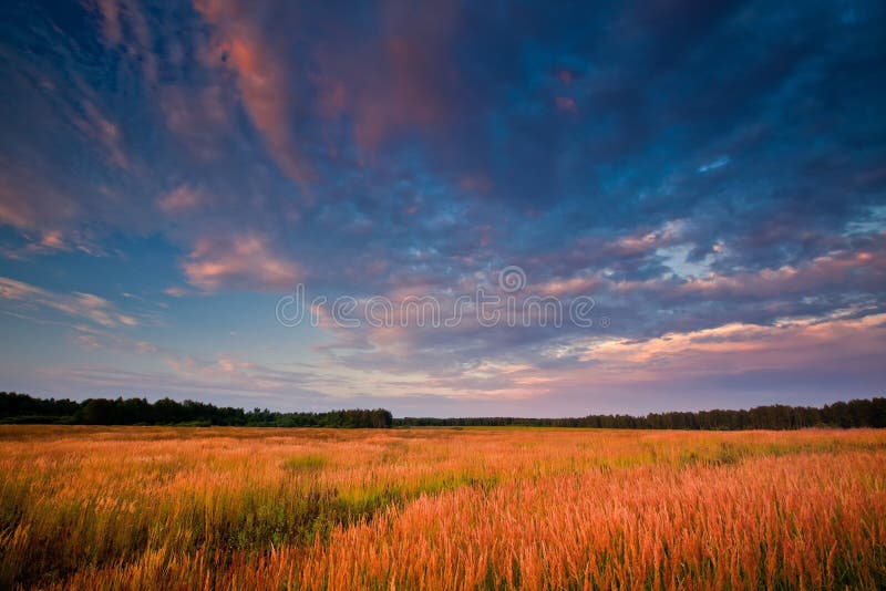 Autumn sunset stock photo. Image of morning, ecology - 20976806