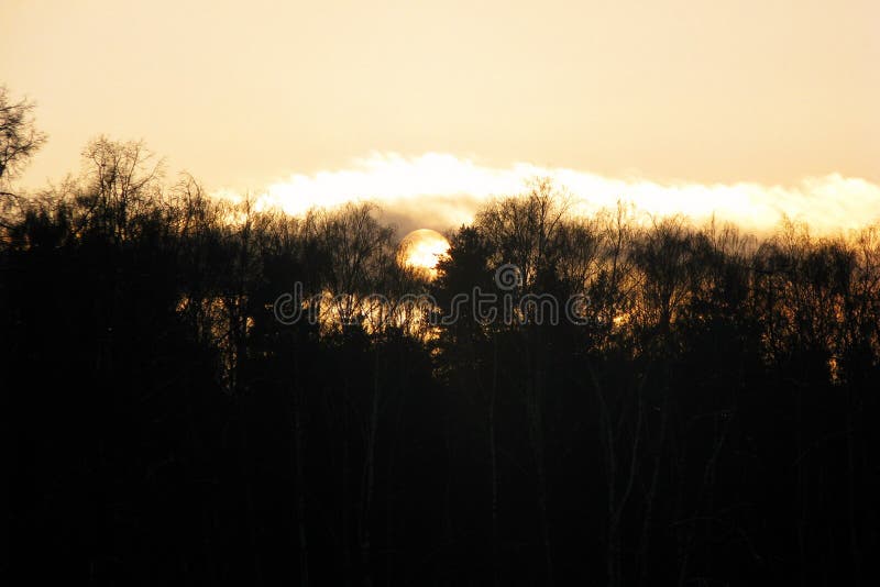 Autumn Sunset in the Dark Forest. Sun Sets Behind the Big Black Trees ...