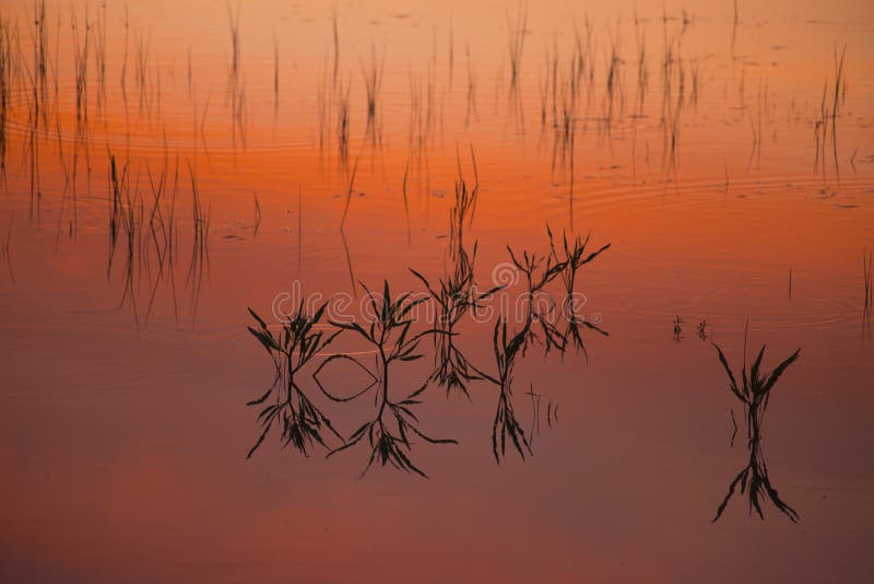 Autumn sunset on the lake stock photo. Image of sunset - 80174080