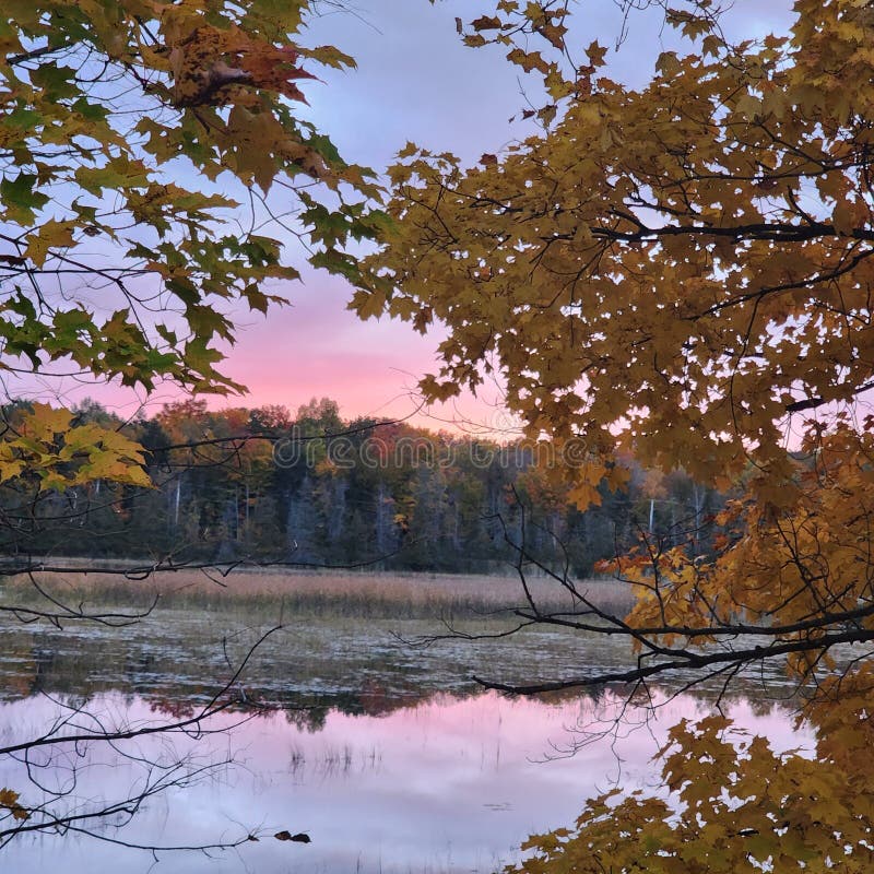 Autumn Sunsets Over the Cove Stock Image - Image of forest, cove: 266398179