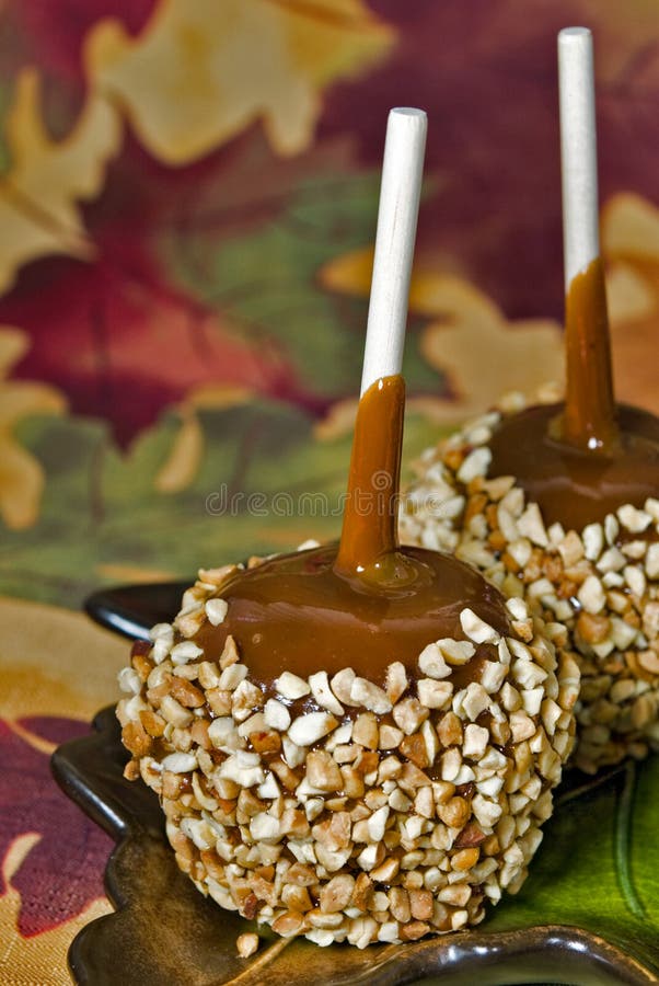 Autumn Sweet Treats stock photo. Image of coating, morsel - 11517824