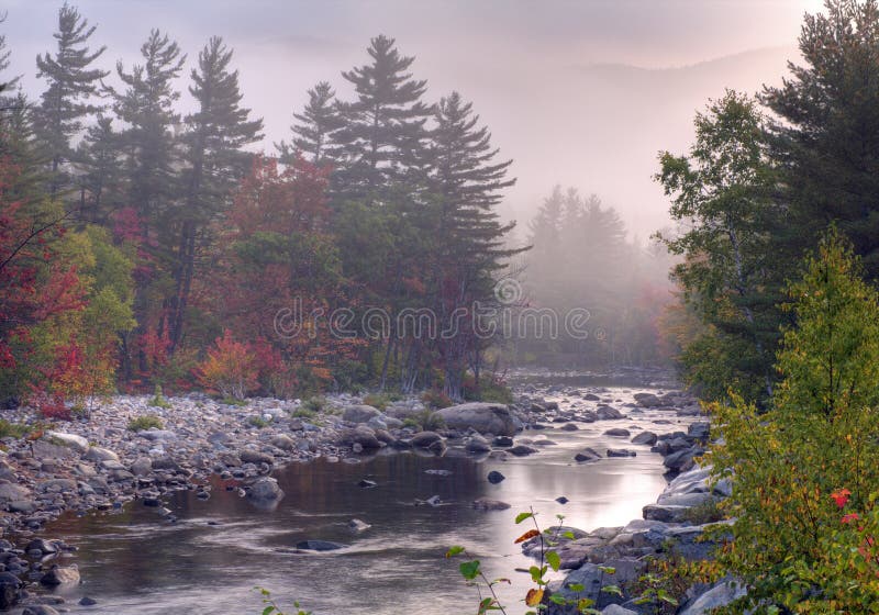 Autumn on Swift stock photo. Image of mist, fall, white - 5576550