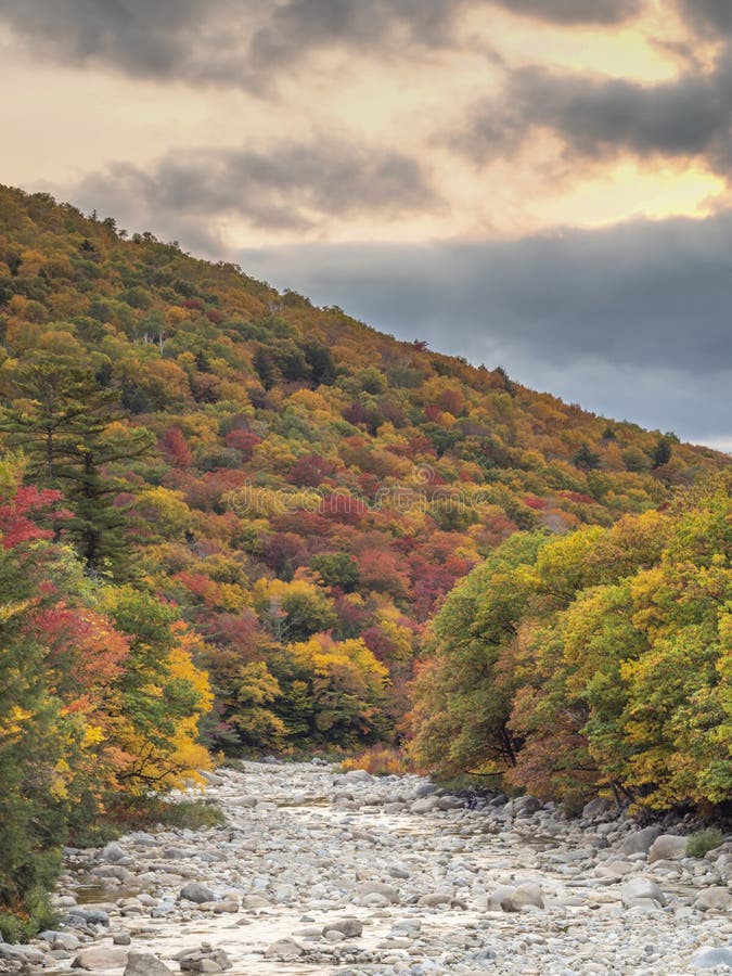 Autumn on the swift river stock photo. Image of nature - 198540624