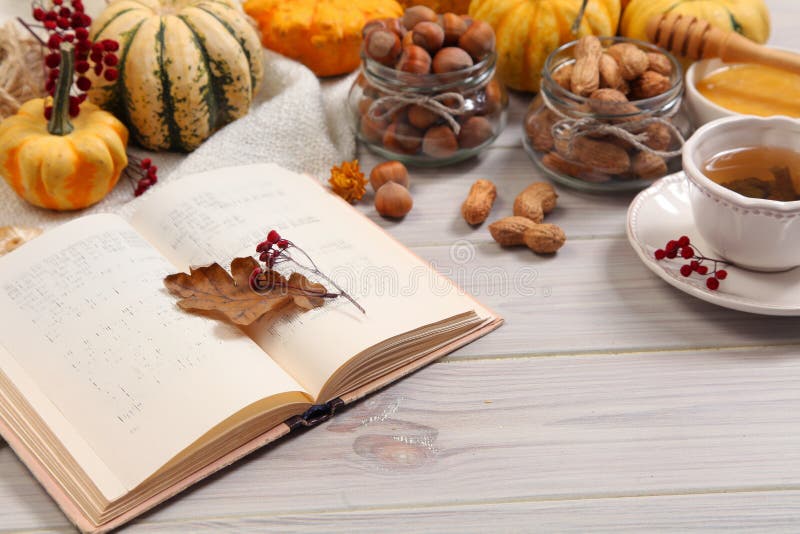 Autumn table stock photo. Image of season, foot, plank - 61760758