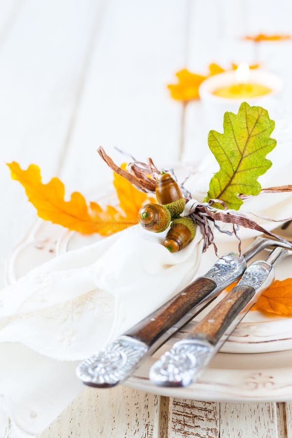 Autumn table setting stock photo. Image of setting, acorn - 42699852
