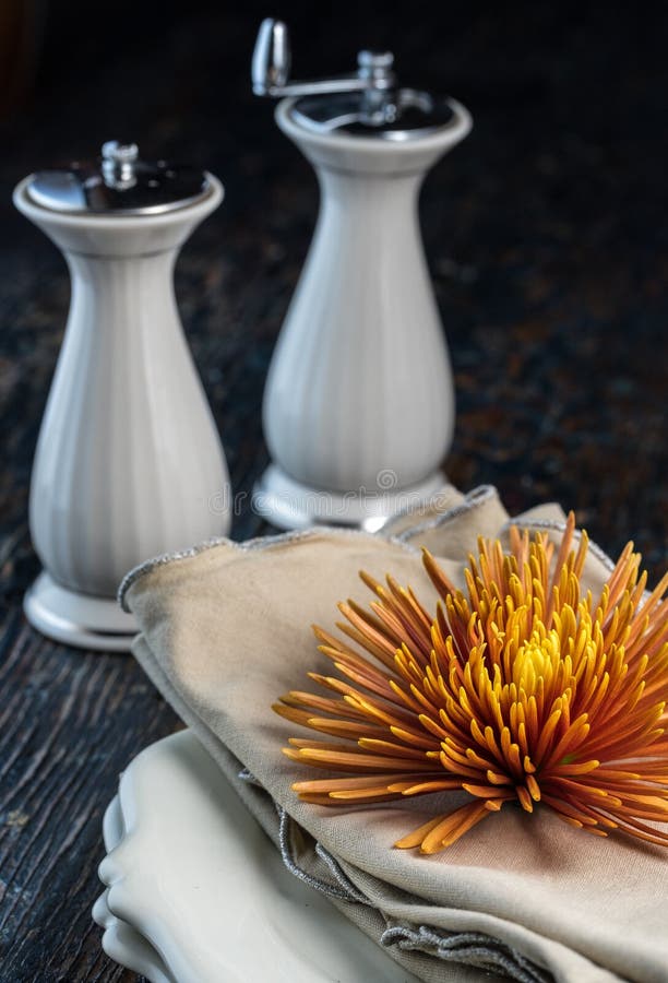 Autumn Table Setting Scene stock image. Image of salt - 79018159