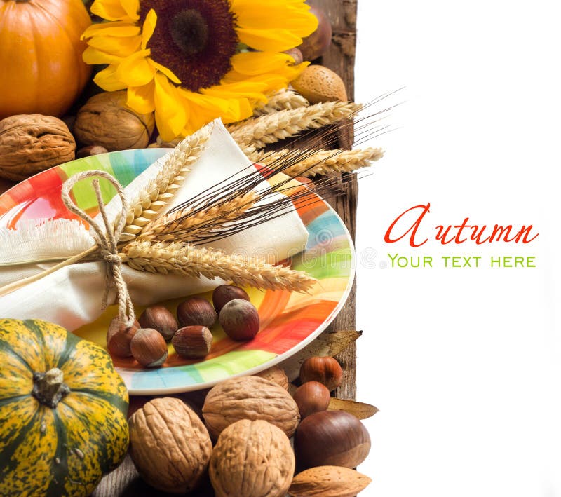 Autumn table setting stock photo. Image of background - 45395016