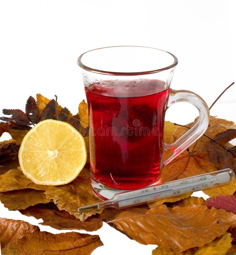 Autumn tea stock image. Image of drink, aromatherapy - 11803315
