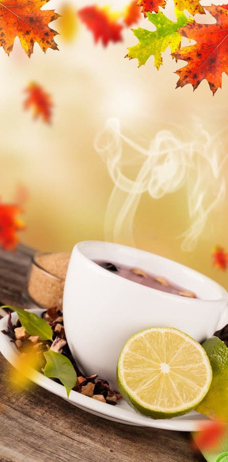 Fall Harvest Cornucopia. Cup of Hot Apple Tea for Autumn Season Warm ...