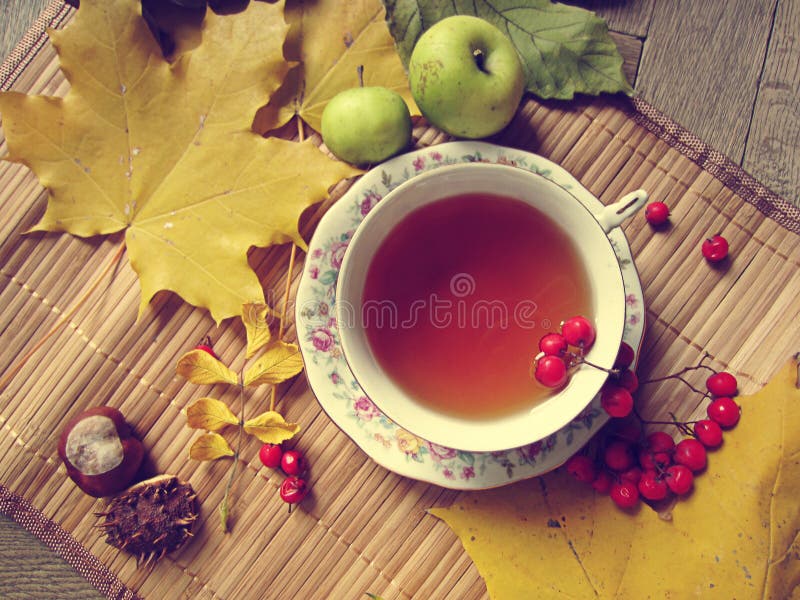 Autumn Tea. Cup of Tea with Rowanberry and Autumn Leaves Stock Image ...