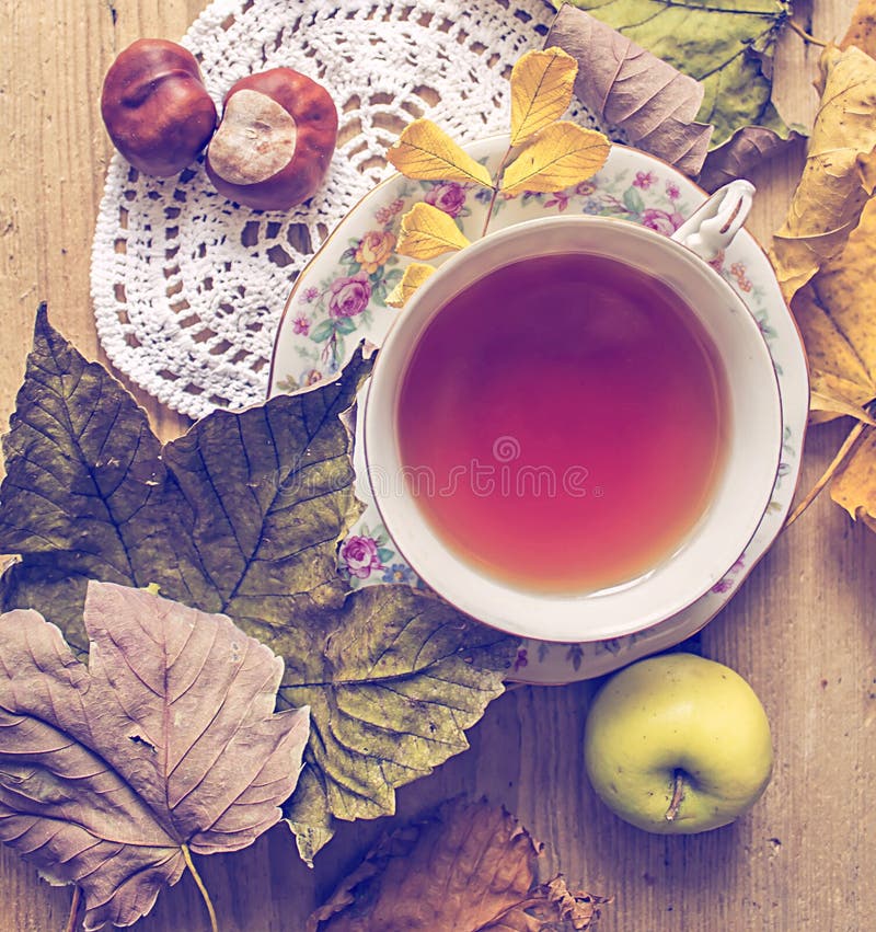 Autumn Tea. Cup of Tea with Rowanberry and Autumn Leaves, Chestnut ...