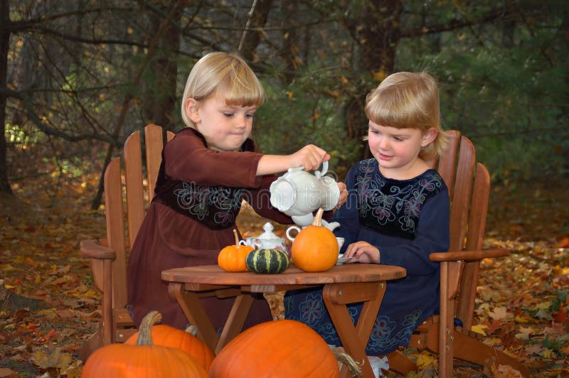 Outdoor tea party stock image. Image of autumn, table - 2784233