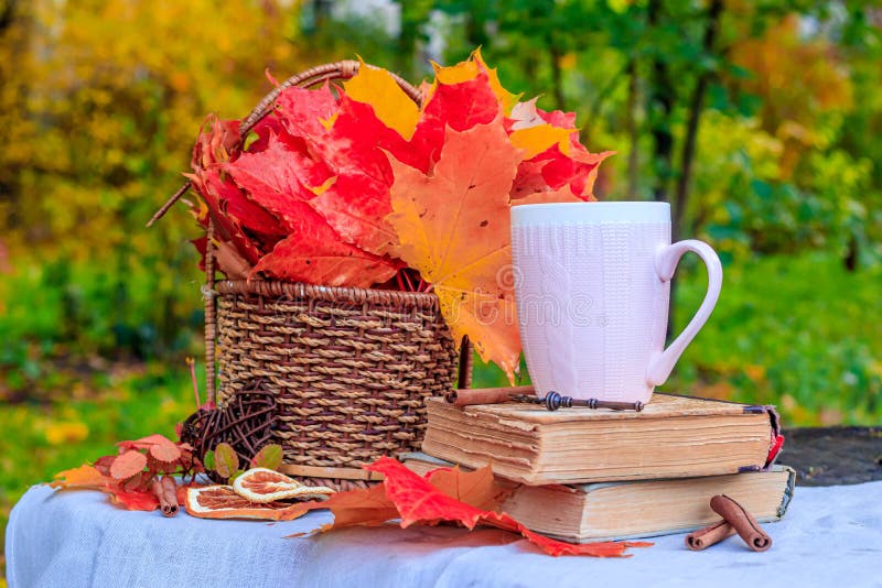 Autumn Tea Party. Cup with Tea and Maple Leaves Stock Image - Image of ...