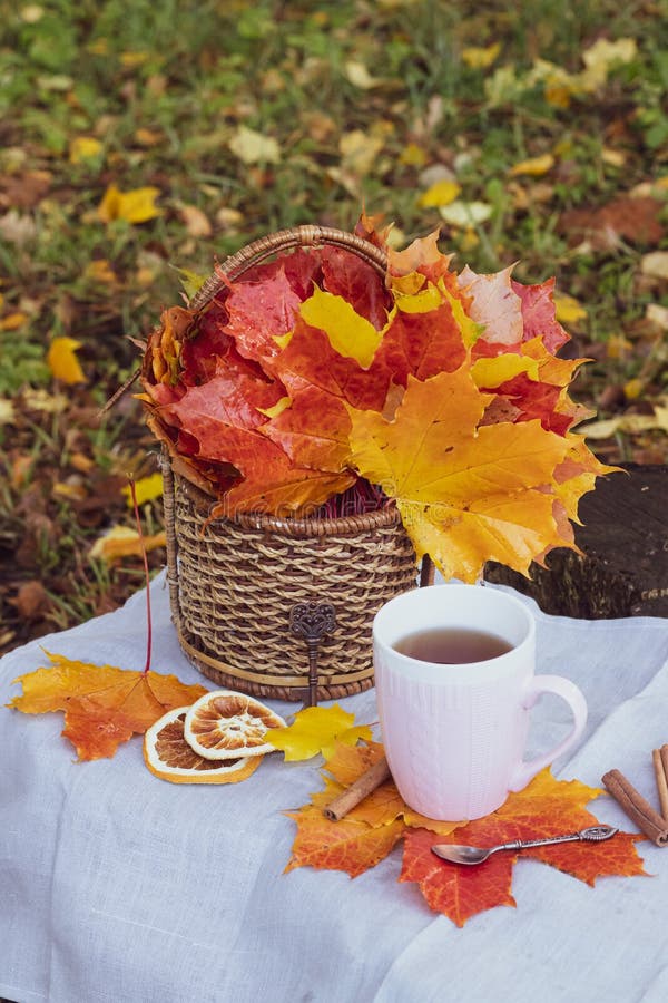 Autumn Tea Party. Cup with Tea and Maple Leaves Stock Image - Image of ...