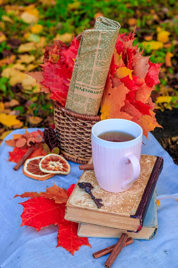 Autumn Tea Party. Cup with Tea and Maple Leaves Stock Image - Image of ...