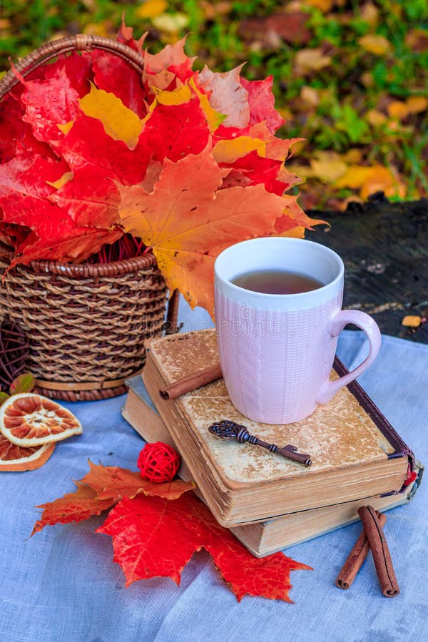 Autumn Tea Party. Cup with Tea and Maple Leaves Stock Image - Image of ...