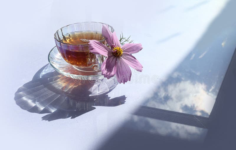 Autumn Tea Party: a Cup of Tea with a Pink Flower on a Pastel ...
