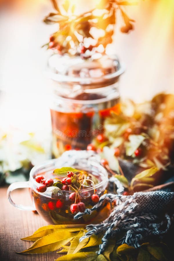 Autumn Tea with Red Berries , Tea Pot , Leaves and Scarf Stock Photo ...