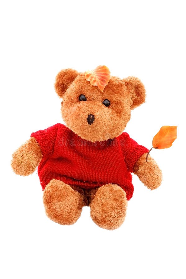 Fall objects 1 stock image. Image of fall, pumpkin, smile - 322923