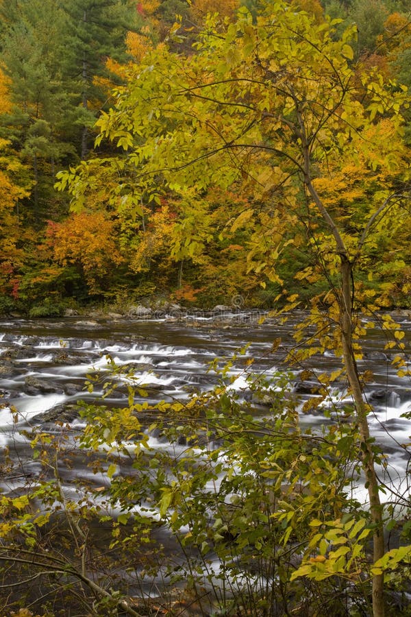 Tellico River stock image. Image of america, national - 46534853