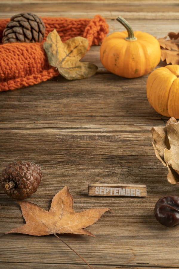 Autumn Template for September with Dried Leaves on Wooden Background ...