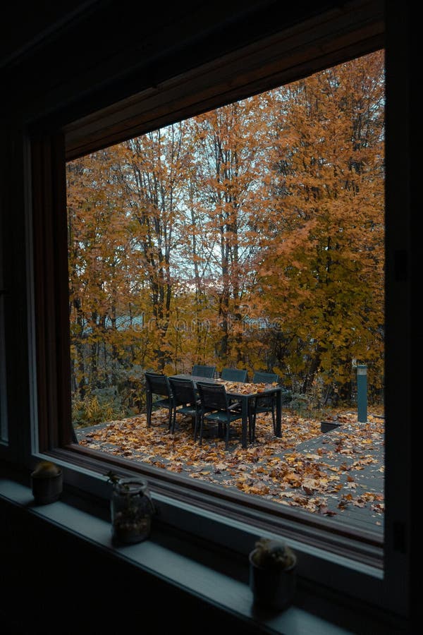 Autumn Terrace Covered in Leaves Stock Photo - Image of plant, lighting ...