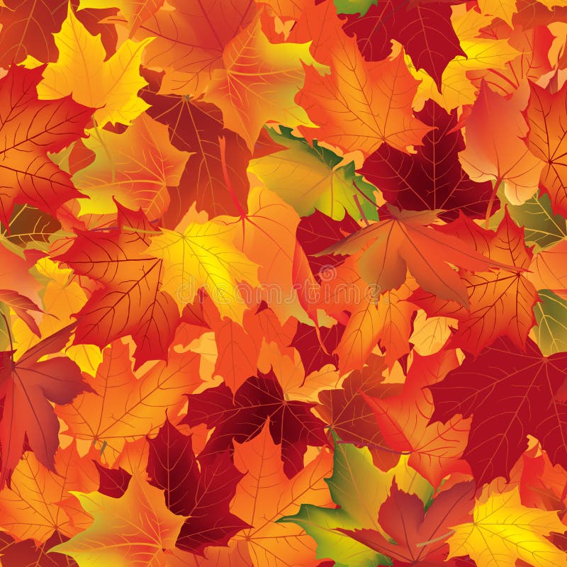 November Leaves Backgrounds And Wallpapers